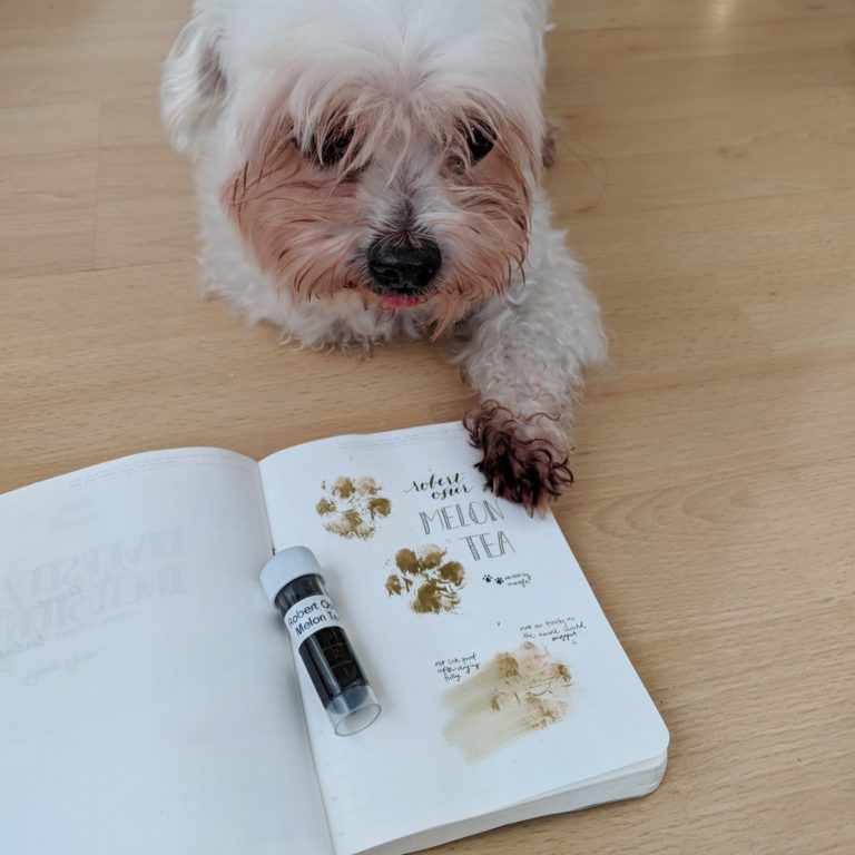 Ink Review: Robert Oster Melon Tea – Hand Over That Pen